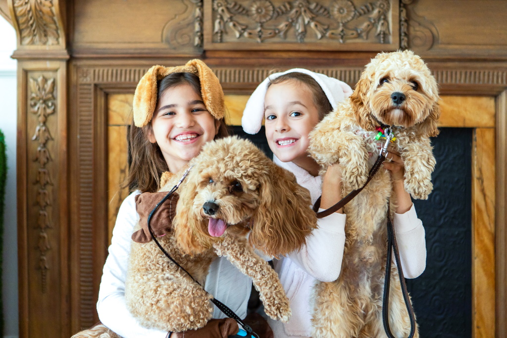 Falkner House Events & Trips - Falkner House